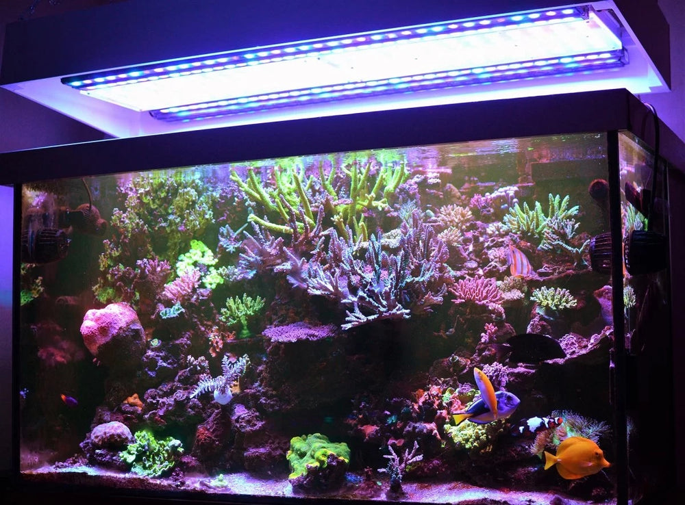 Orphek Reef Aquarium LED Lighting online shop