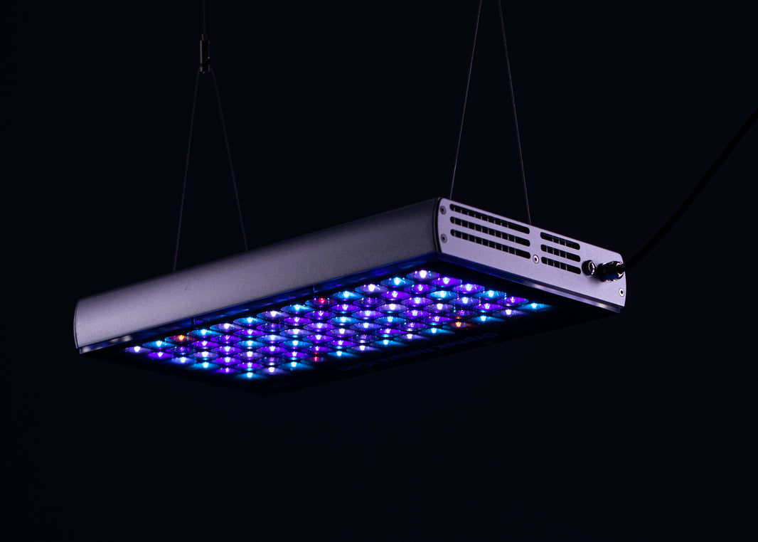 Orphek Reef Aquarium LED Lighting Online Shop