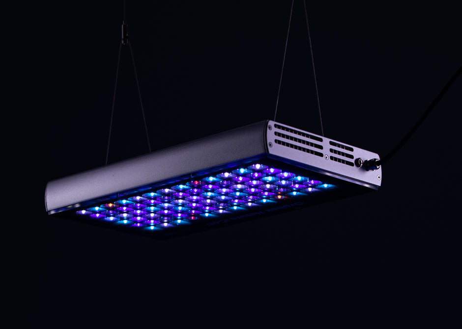 Orphek Reef Aquarium LED Lighting Online Shop