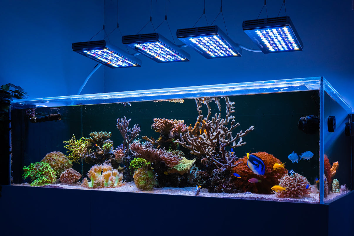 Natura iCon - Reef Aquarium LED Lighting – Orphek