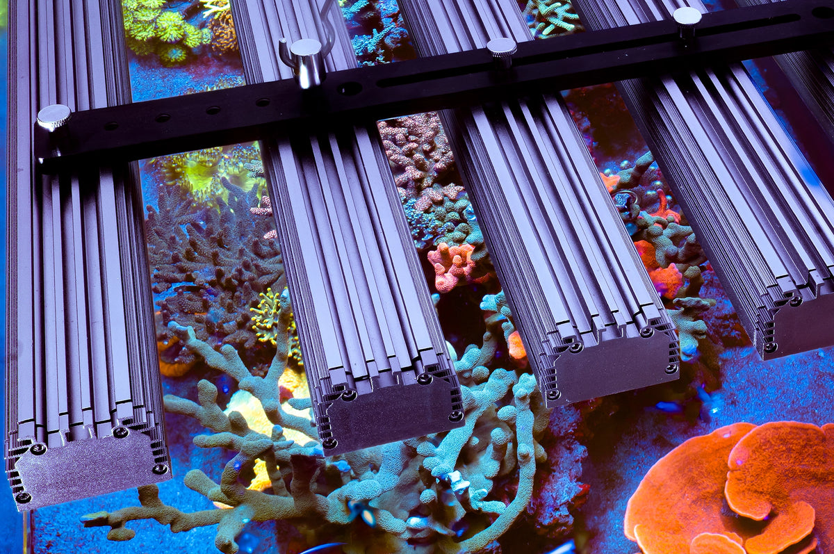 OR4 iCon LEDバー – Orphek